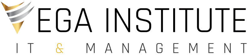 Our Team – VEGA Institute